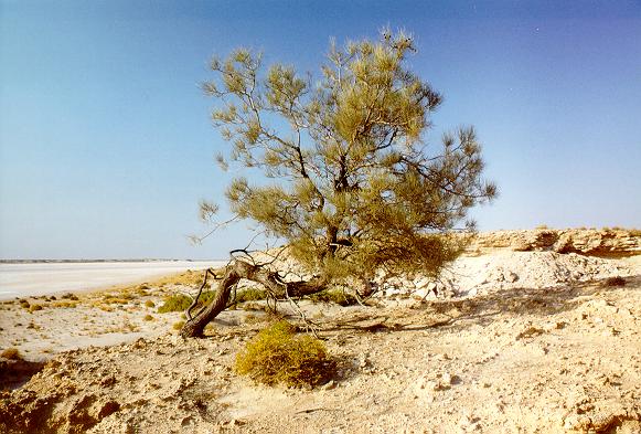 Upper Jackboot Bay Photos