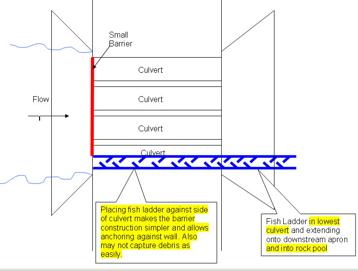 Fish Ladders